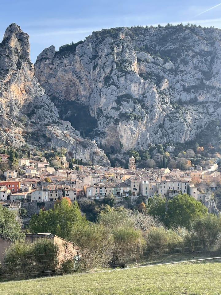Labricotier - Moustiers-Sainte-Marie