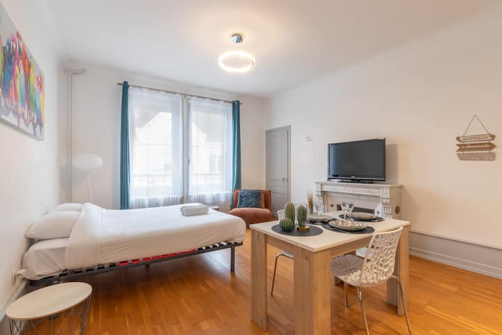 La Suite Des ÉPinoches : 2 Appartements / 2+3 - Mâcon