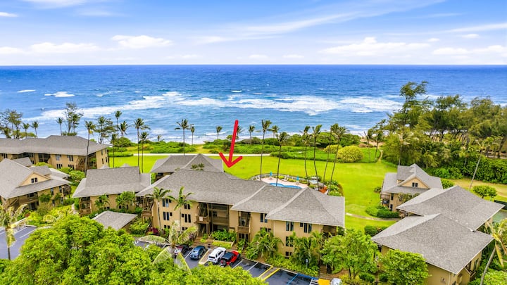 Oceanfront ·Fully Renovated ·Walk To Lydgate Beach - Kalapaki Beach, HI