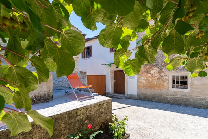 Casa Dorotea In Svetvinčenat - Haus Für 4-5 Perso - Istria