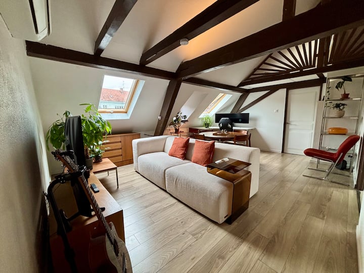 Appartement Avec Espace De Travail à Strasbourg - Estrasburgo