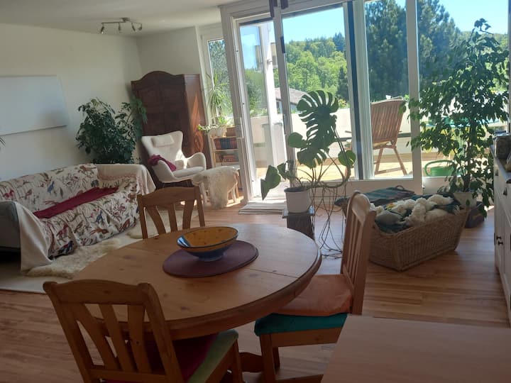 Ferienwohnung Am Bodensee Mit Seeblick Hunde Mögl. - メールスブルク