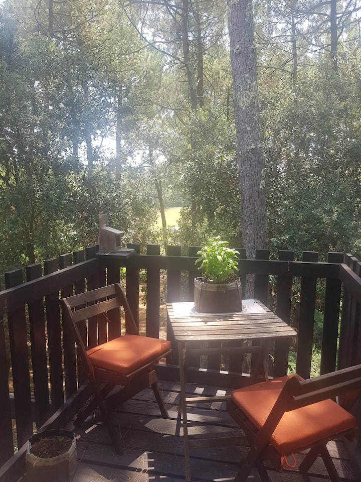 Studio Au Cœur De La Forêt à Lacanau Océan - Lacanau
