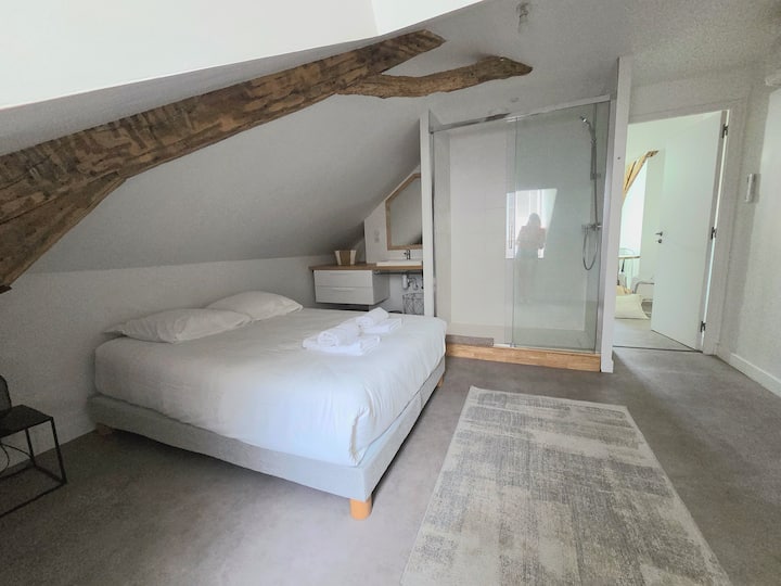 Santa Giulia_centre-ville - Brive-la-Gaillarde