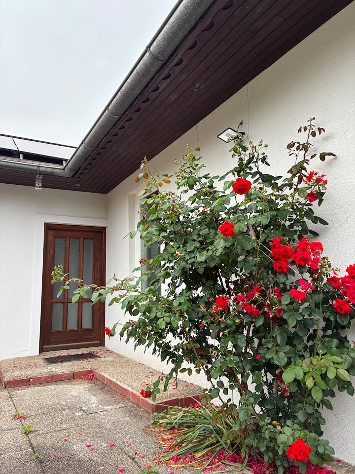 Jongs House - Graz