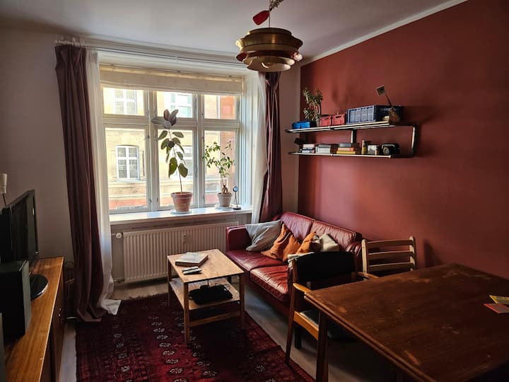 Cozy Nørrebro Apartment - Copenhagen