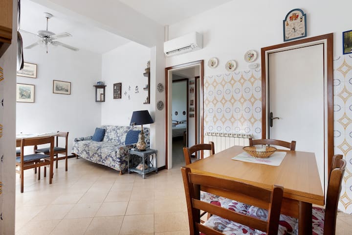 Casa Gelsomino - Camaiore