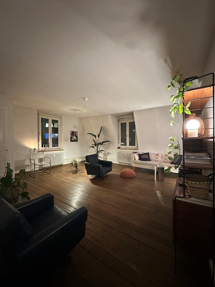 Spacious Vintage Flat By The River - Zürich