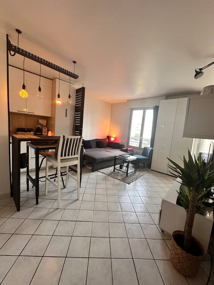 T2 Work Cosy Ciné 15min De Cdg Villepinte - Tremblay-en-France