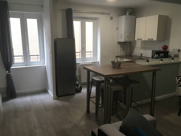 Charmant Triplex En Plein Centre Ville De Riom - Riom