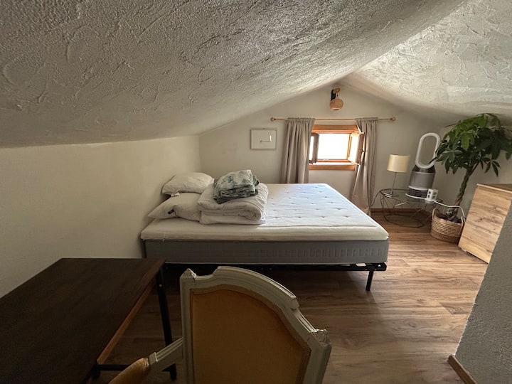 Chambre Double Avec Salle De Bain Privé. - Martigny