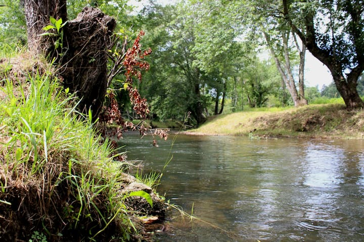 Cast Into The Toccoa, Then Cozy Up Inside - Suches, GA