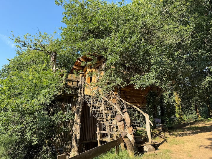 Chalet/cabane/dortoir Dans Les Arbres - Cambo-les-Bains