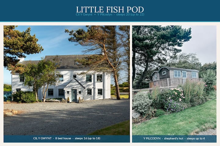 Little Fish Pod - Trearddur Bay