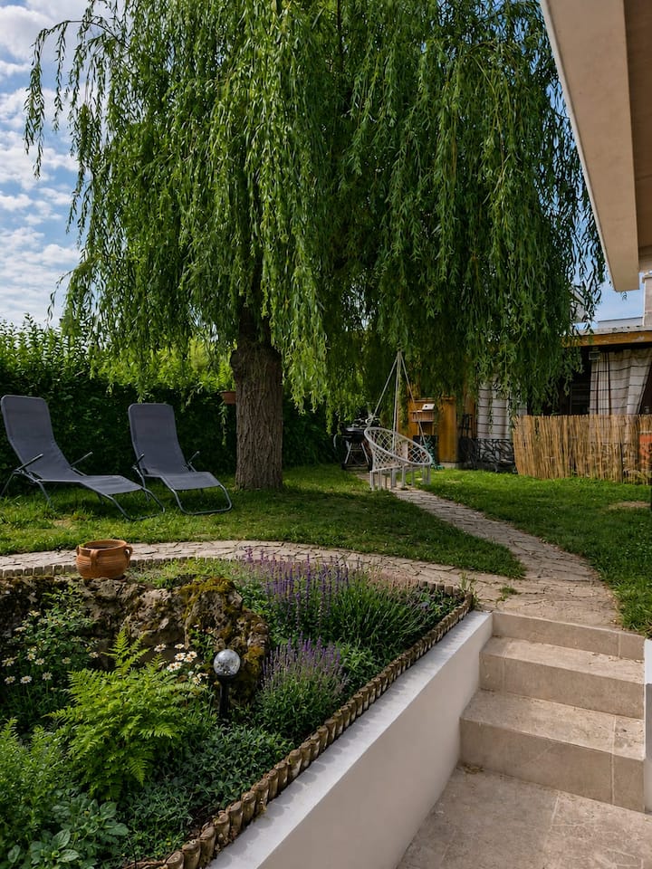 Maison Lumineuse Avec Terrasse Idéale Détente - Massy