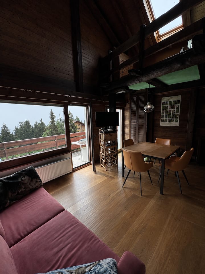 Loft Duplex Terrasse Sud Parking - Anzère