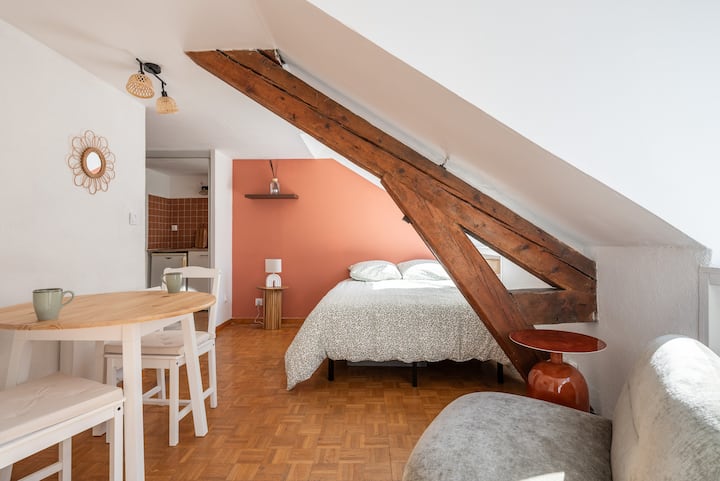 Studio Cocooning Proche Gare, Tram Et Hypercentre - Échirolles
