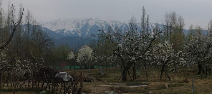 Entire 2br Cottage In An Apple Orchard Near River - Gulmarg