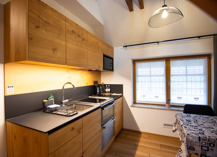 Apartment Duplex In Hotel Vila Loka - Kranj