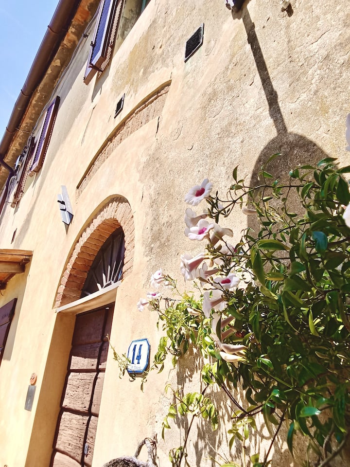 Familienappartement "Platane" Im Weingut - Pontedera