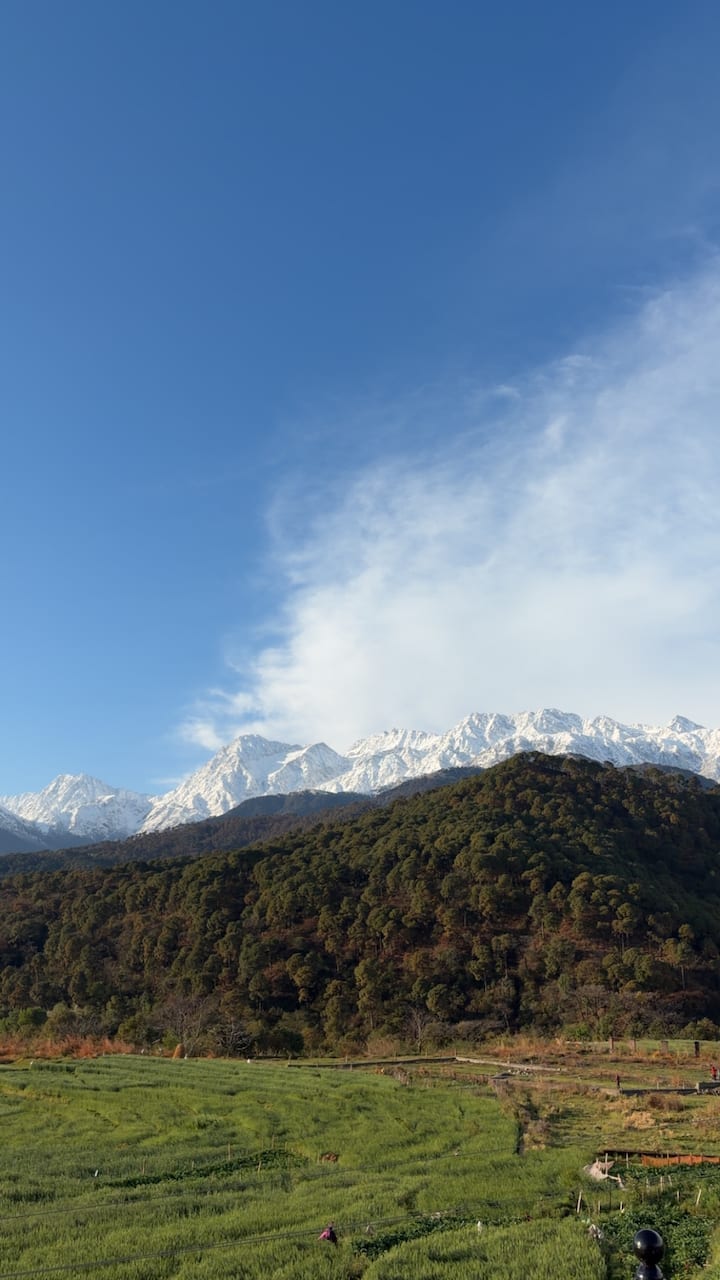 The New View, Green Haven Chimbalhaar, Palampur - Palampur