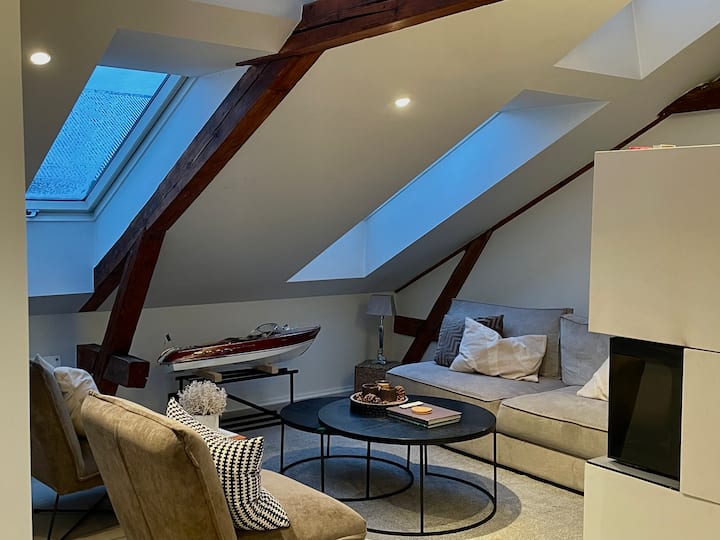 Eksklusiv Loftsleilighet Med Privat Takterrasse - オスロ