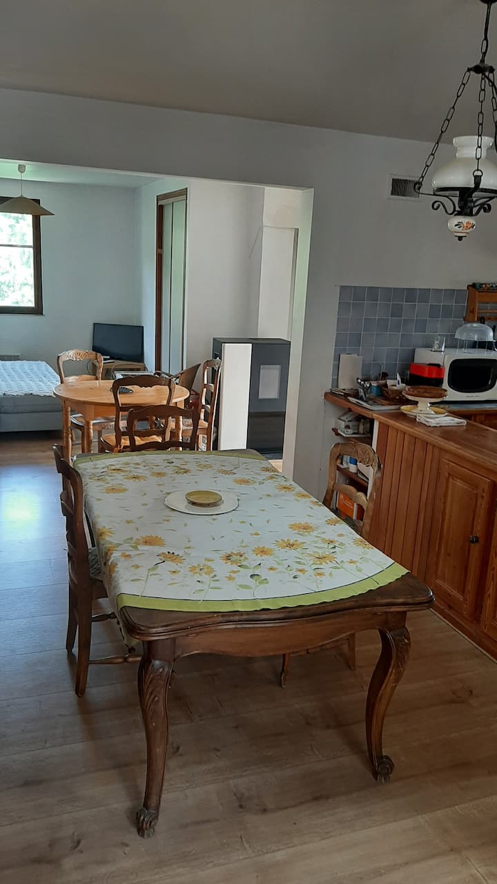 Appartement 3chambres Vue Montagnes Centre Village - Seyne