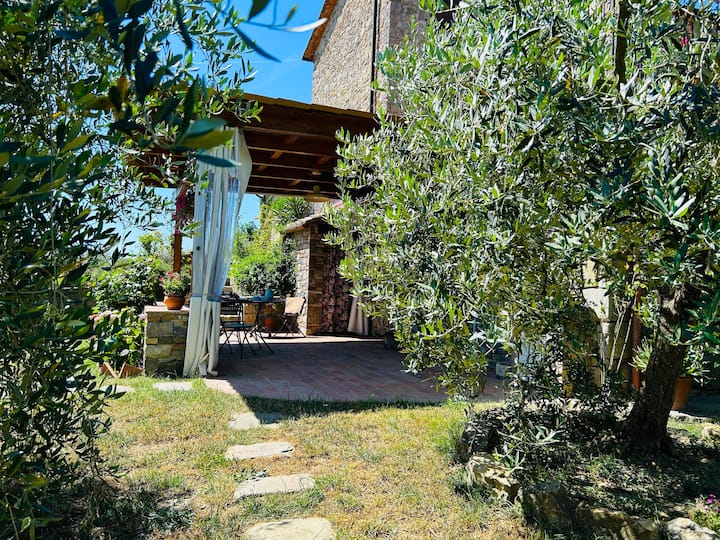 Podere Sofia - Radda in Chianti