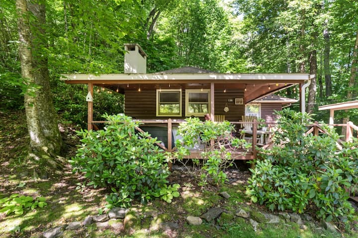 Cozy Blowing Rock Cabin - Hot Tub & Fireplace Ski! - Blowing Rock, NC