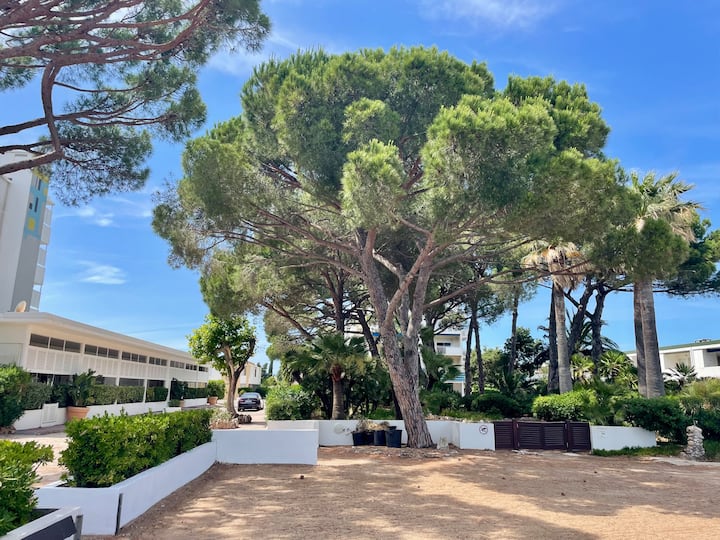 Studio Climatisé En Bord De Mer Plage Privée - Hyères