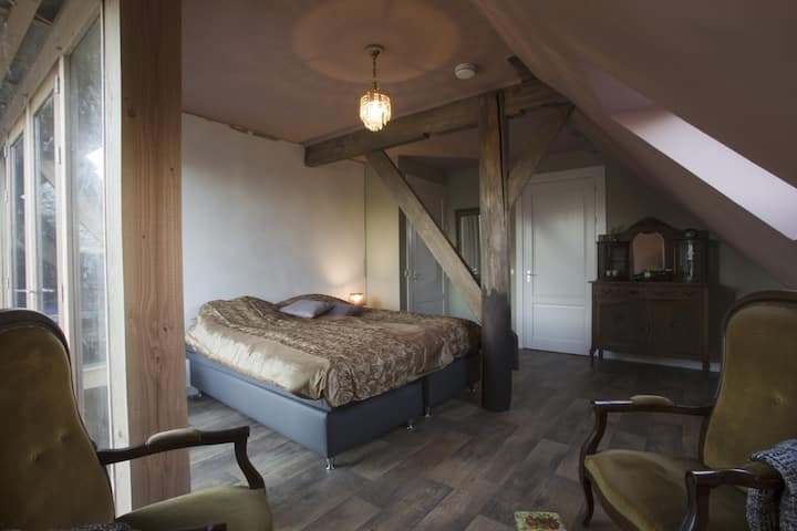 Tt Assen Moto Gp Kamer - Assen