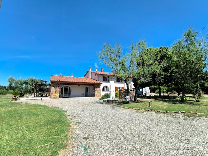 Olivo By Interhome - Follonica