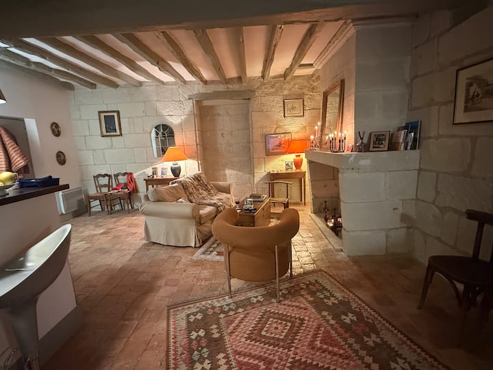 Ancienne Maison De Batelier - Montsoreau