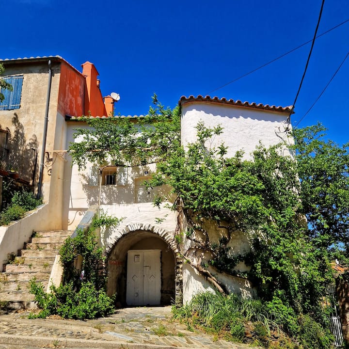 Le Bougainvillier, Maison Vigneronne. - Collioure