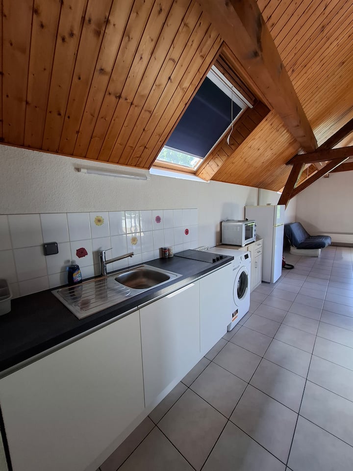 Grand Studio Atypique Niché Sous Les Toits - Évian-les-Bains