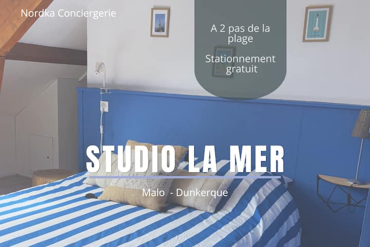 Studio De La Mer - 300m De La Plage - Malo-les-Bains