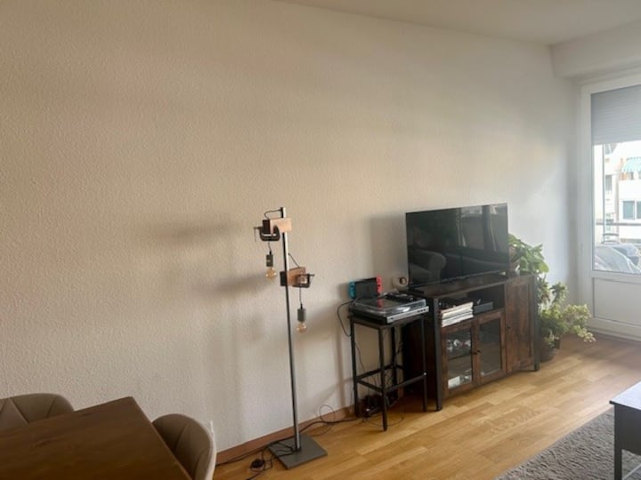 Bright Top-floor Apartment With Balcony - Saint-Genis-Pouilly