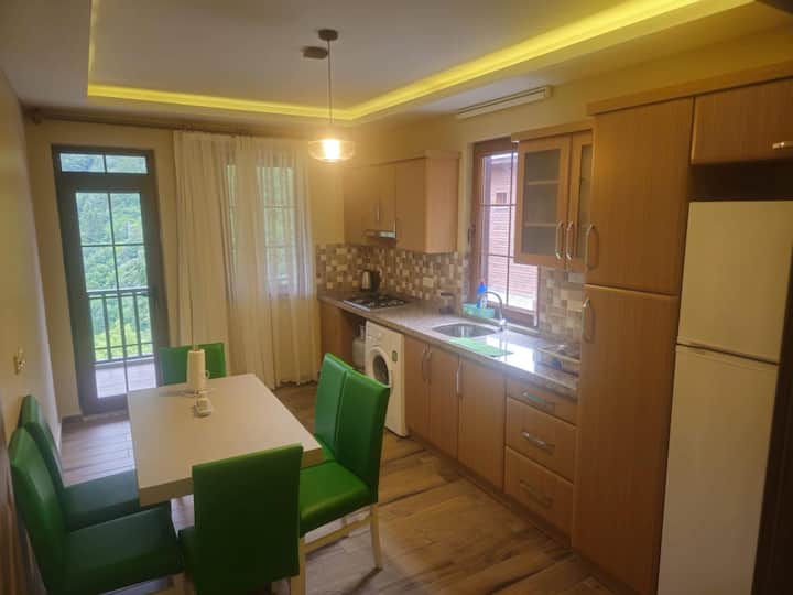 2+1 Dağ Manzaralı ÇAtı Katı - Bayburt