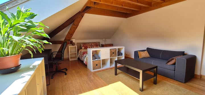 Charmant Appart à 15 Min à Pied De L'hyper Centre - Cran-Gevrier
