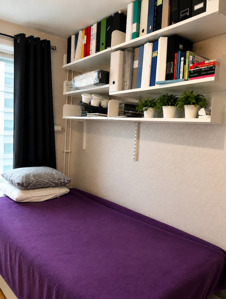 Cozy Room In Central Stockholm  With Cats - Stockholm