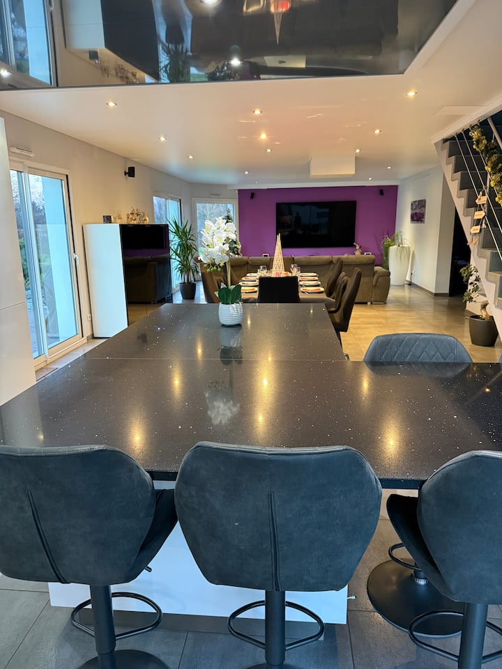 Grande Villa De Luxe Proche De Colmar - Mulhouse