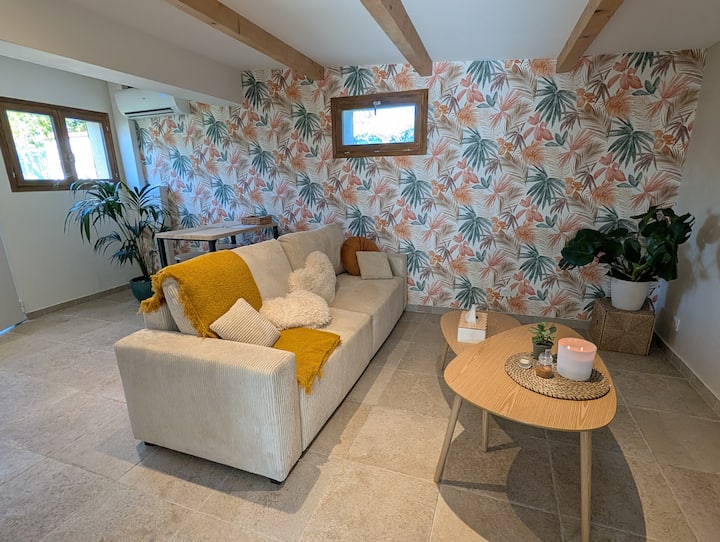 Maison D'hôte Avec Jacuzzi Xxl Et Sauna Privatif - Cannes