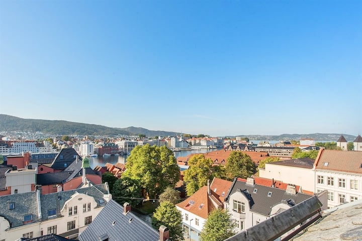 Traditional Bergen Penthouse Near Bryggen - Bergen