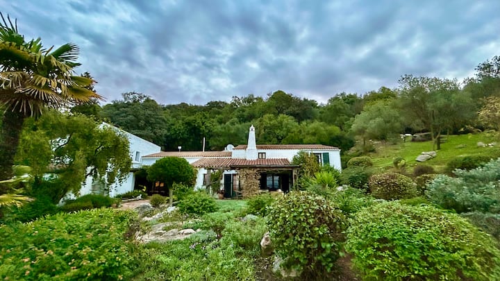 Beautiful Farmhouse Outside Gaucin. Sleeps 8. - Casares