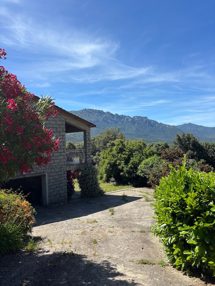 Maison En Pierre De Village - Bastelica