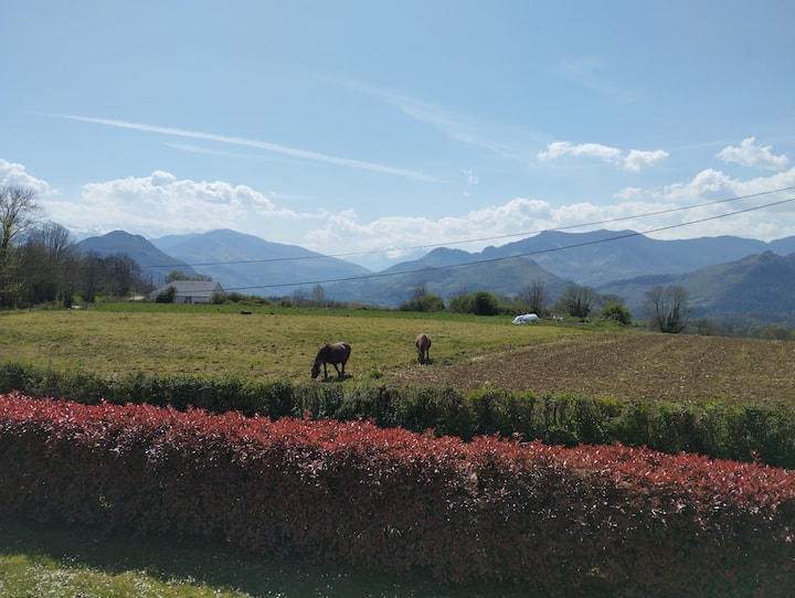 Maison à Côté De Lourdes, Vue Sur Les Montagnes - Lourdes