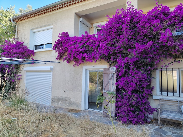 Petit Appartement Où Chantent Les Cigales - Toulon