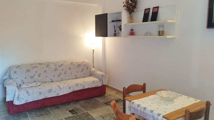 Appartamento Per Famiglie Vicino Al Centro - Pisa