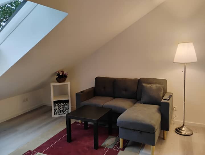 Klimatisierte Dachgeschosswohnung - Bonn