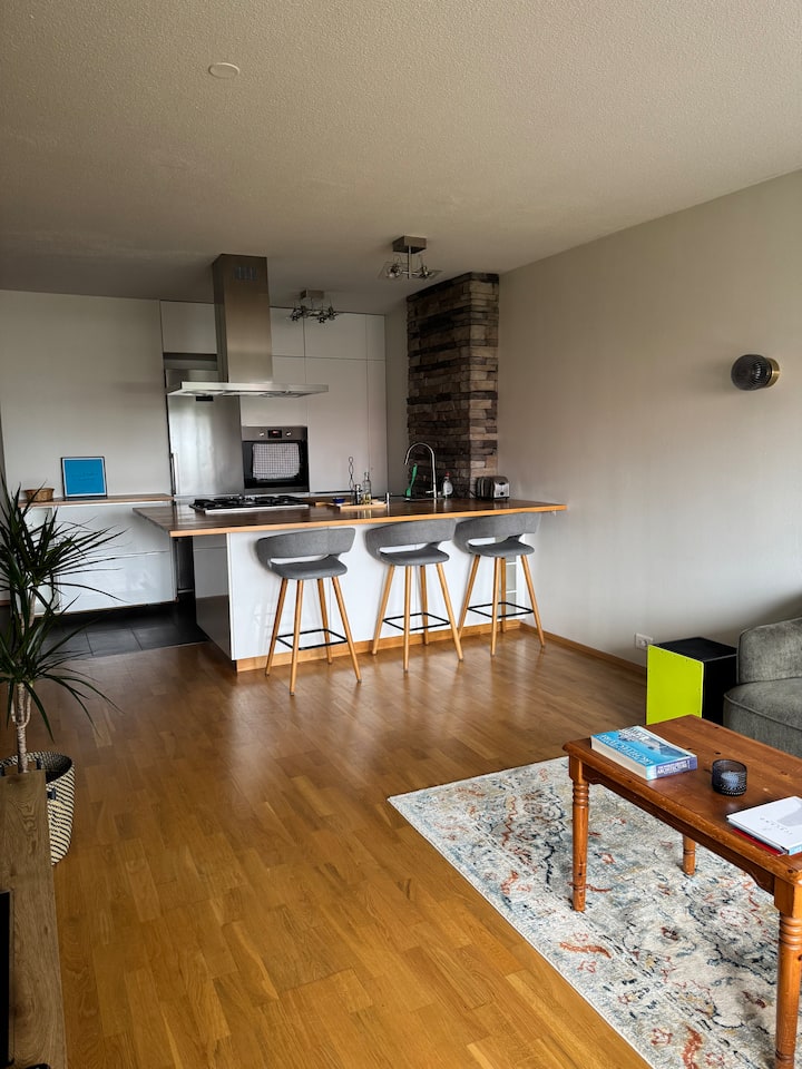 West Town Apartment - Reykjavík
